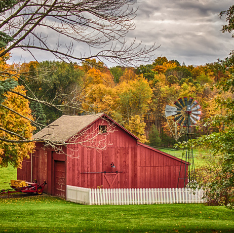 Agriculture Wall Murals - Limitless Walls
