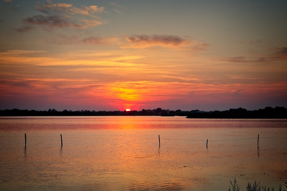 Sunset on Estang des Launes Wall Mural