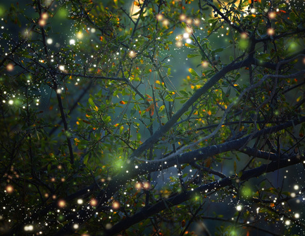 Wall Mural – Limitless Walls