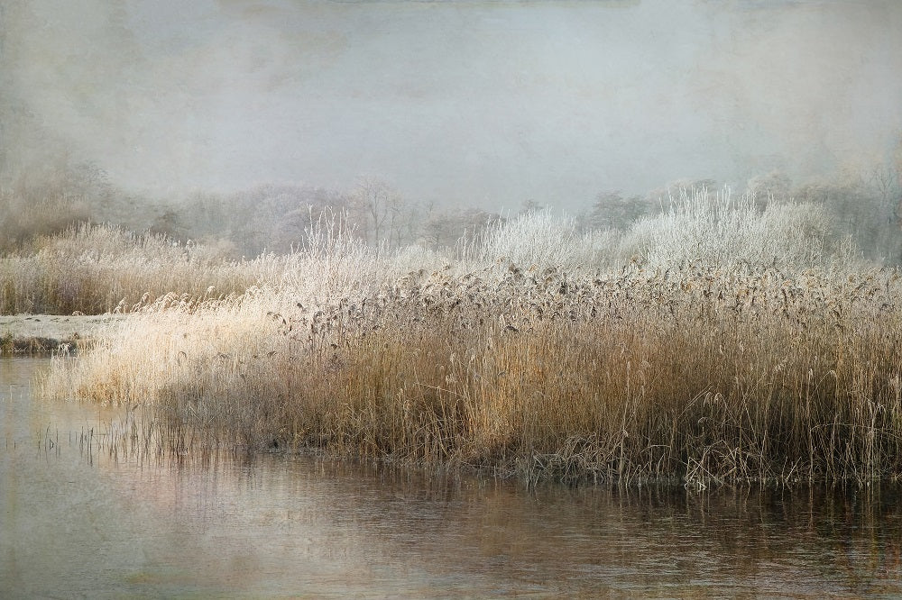Winter Morning Wall Mural