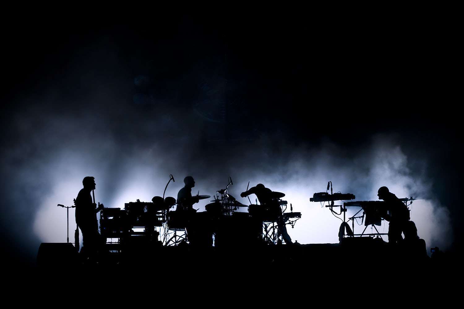 Shadow Concert Wall Mural