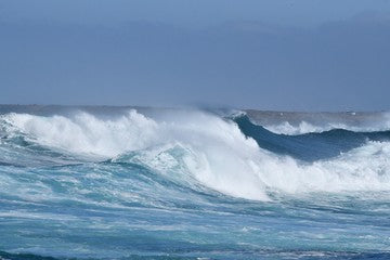 Big Wave Wall Mural