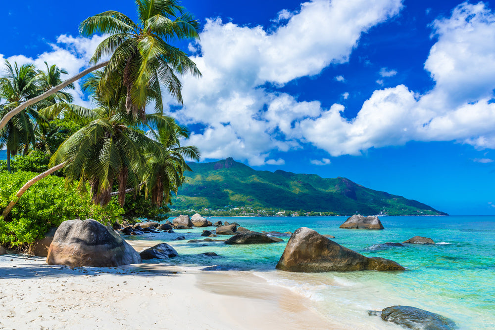 Baie Beau Vallon - Beach On Island Mahe In Seychelles Wall Mural