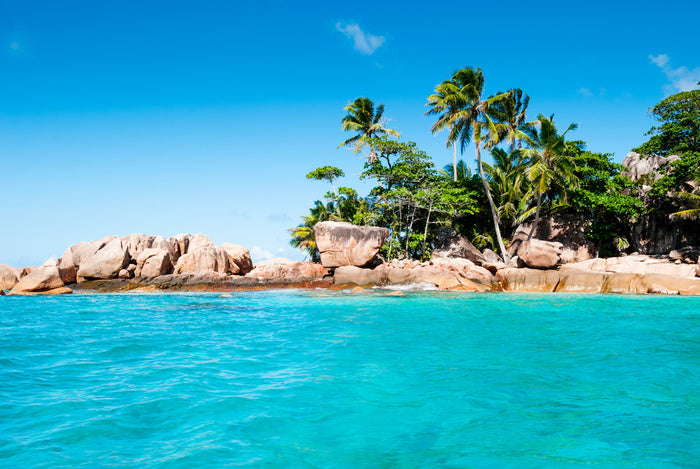 Tropical Island The Seychelles Wall Mural