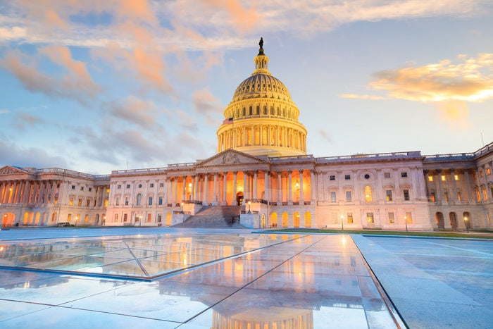 The United States Capitol Building Wall Mural