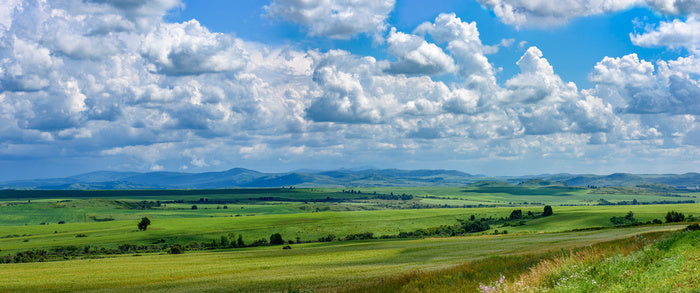 Summer Landscape, Altai, Siberia Wall Mural