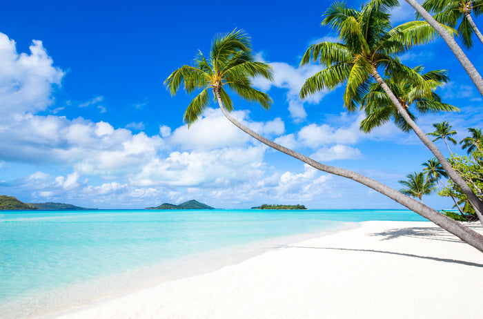 Sommer, Sand Und Strand Auf Einer Tropischen Insel Wall Mural