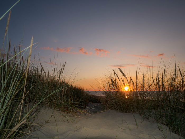 View From Below Through Marram Grass Towards The Setting Sun At The Be