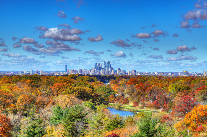Center City Philadelphia Skyline With Fall Colors Wall Mural