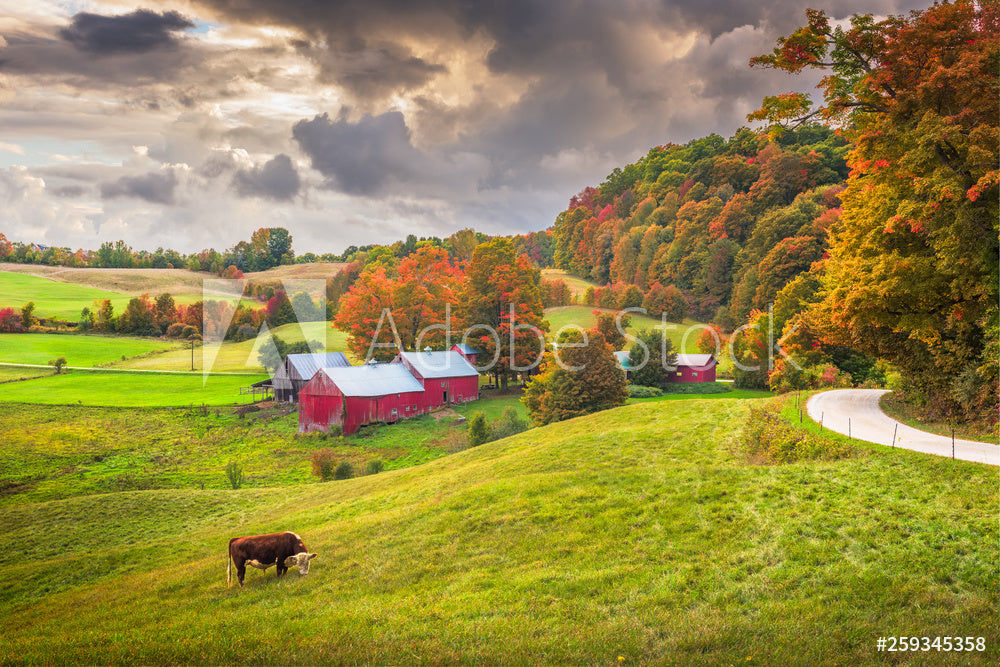 Farmland In Vermont Wall Mural