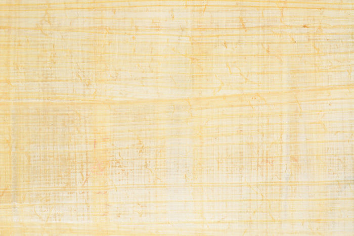 Authentic Egypt Papyrus Paper Background And Texture Number 37 Closeup