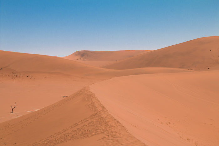 Sand Dunes In Sossusvlei, Namib Desert, Namibia, Africa Wall Mural