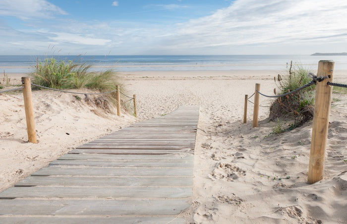 Boardwalk to the Beach Wall Mural