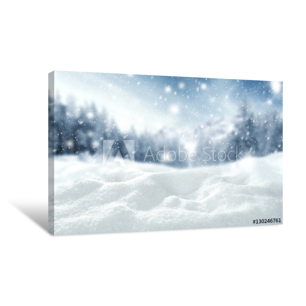 Winter Space Of Snow Canvas Print