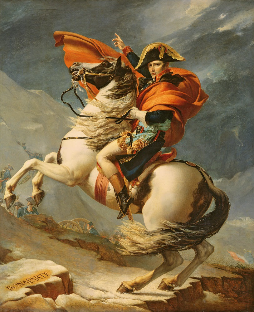 Napoleon Wall Mural